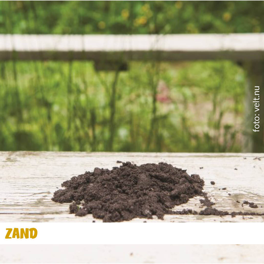 Kneedproef | Tuincenter Lissens