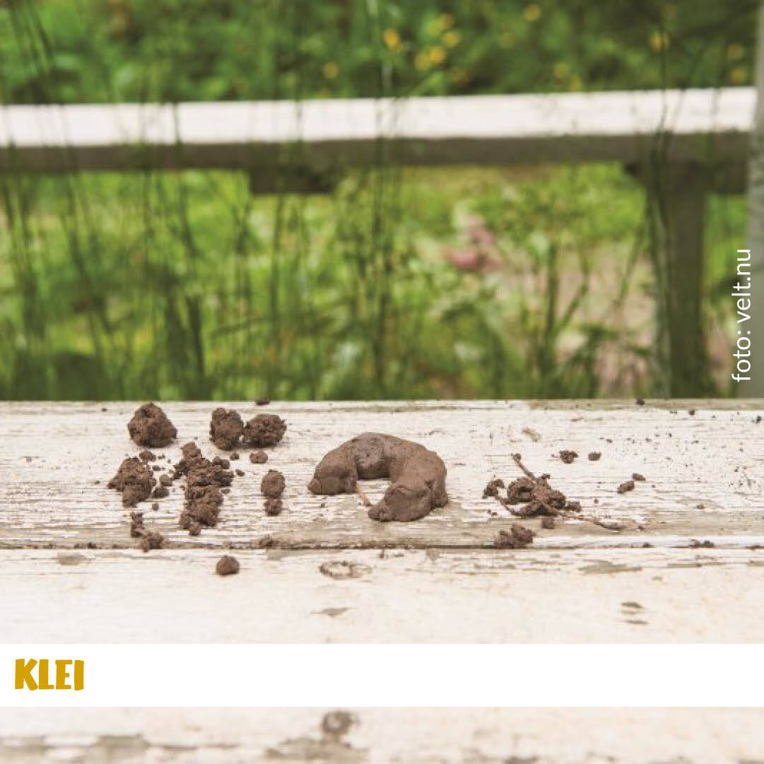 Kneedproef | Tuincenter Lissens