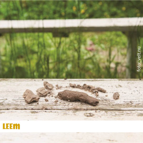 Kneedproef | Tuincenter Lissens